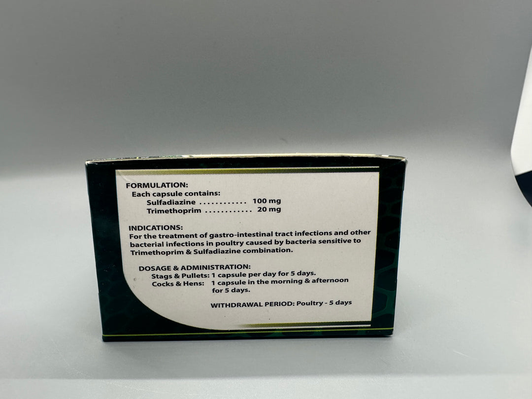 NF-One Capsule (100 Count) Antibiotic – J.E.J Gamefowl Supplies